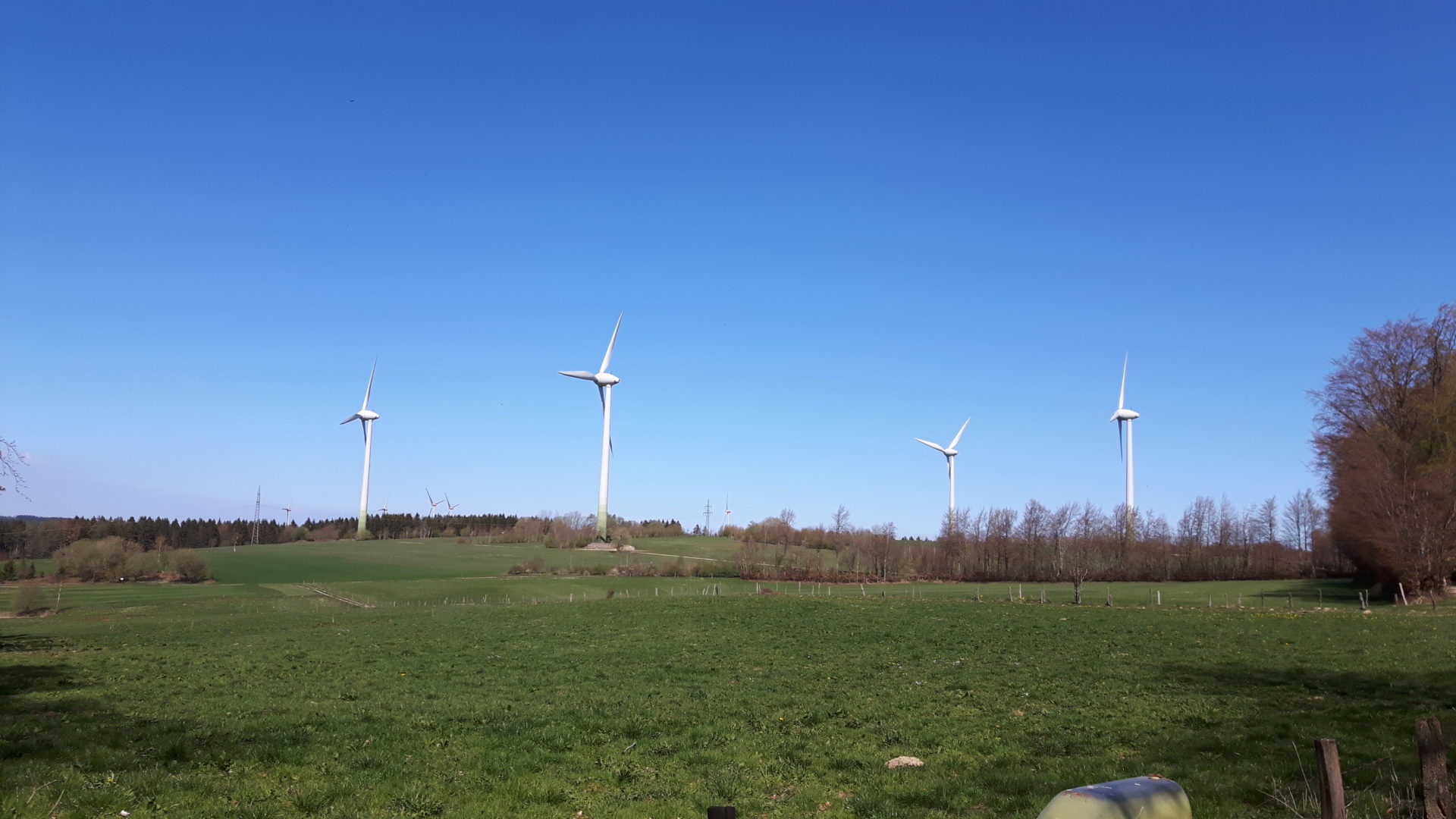 Interview „Klima-Aktivitäten“ der Gemeinde Simmerath | Der Simmerath Blog